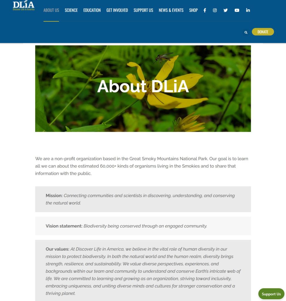 Discover Life In America - Lovin Life In The Smokies