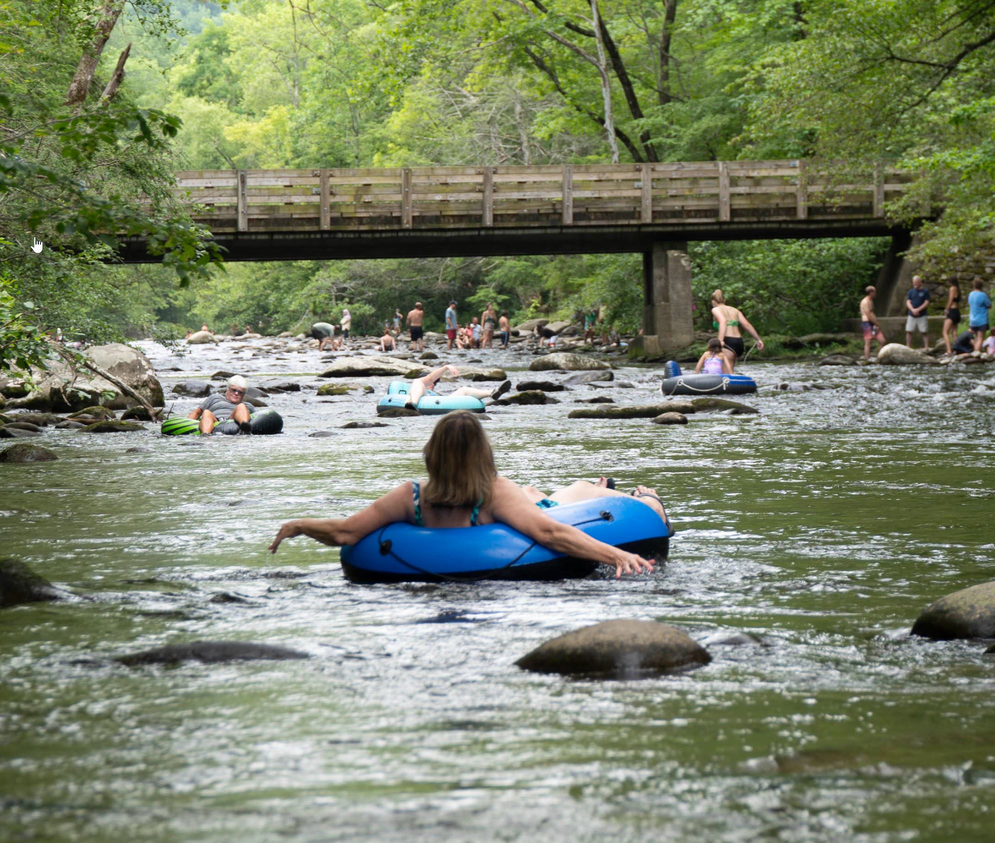 Metcalf Bottoms: A Tranquil Retreat In The Heart Of The Great Smoky ...